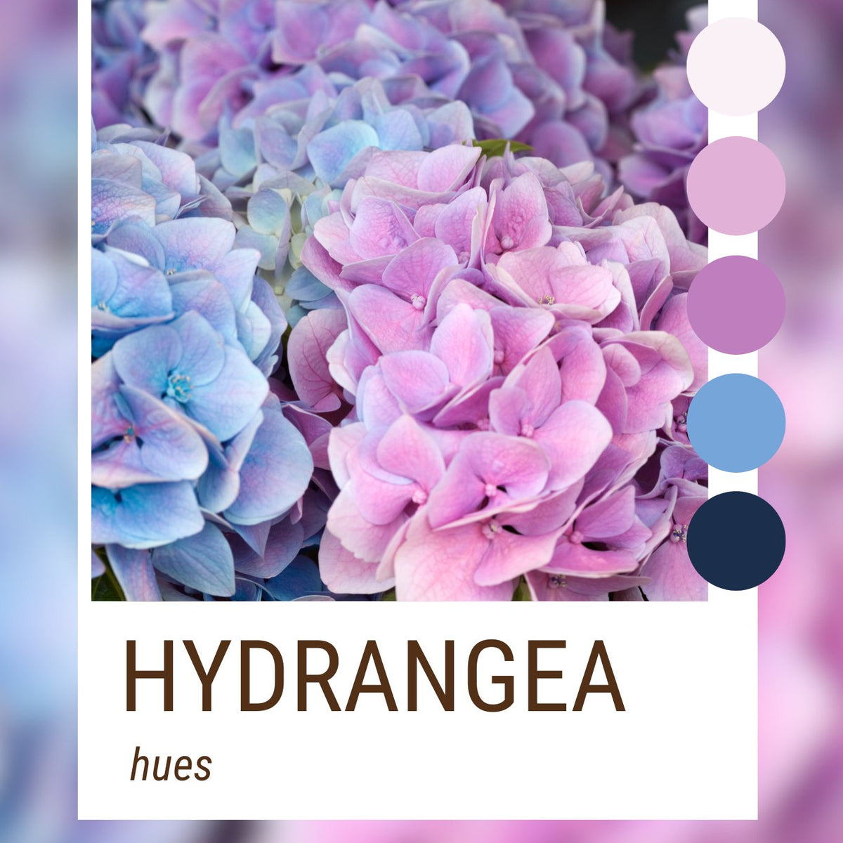 Hydrangea Hues, Mystery Color Palette Bundle – Boho Fabrics