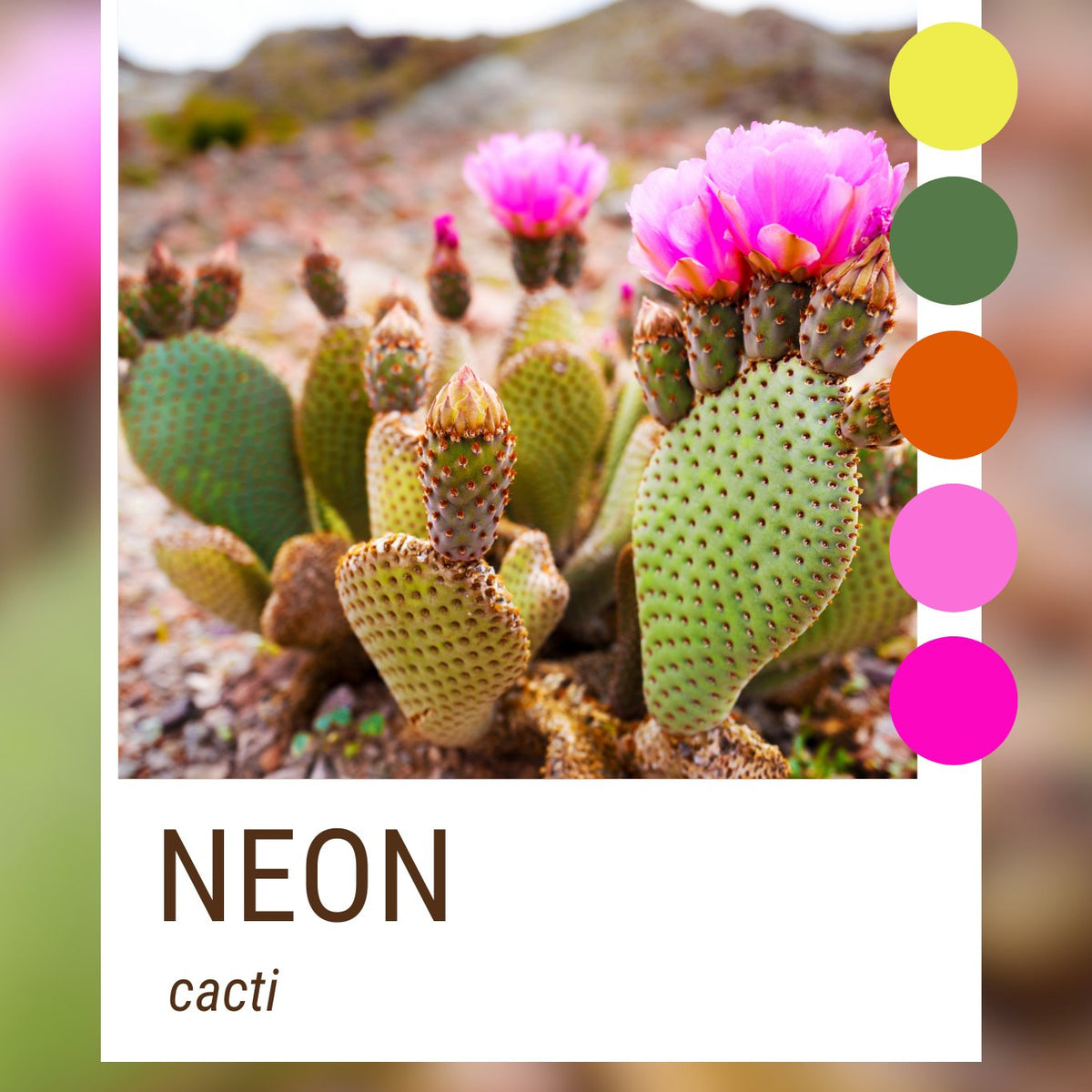 Neon Cacti, Mystery Color Palette Box. – Boho Fabrics