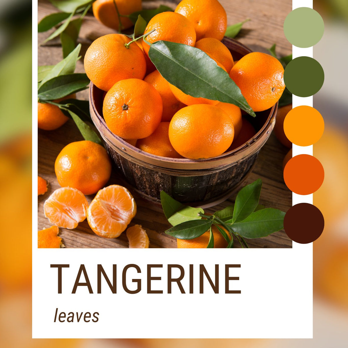 Tangerine Leaves, Mystery Color Palette Bundle – Boho Fabrics