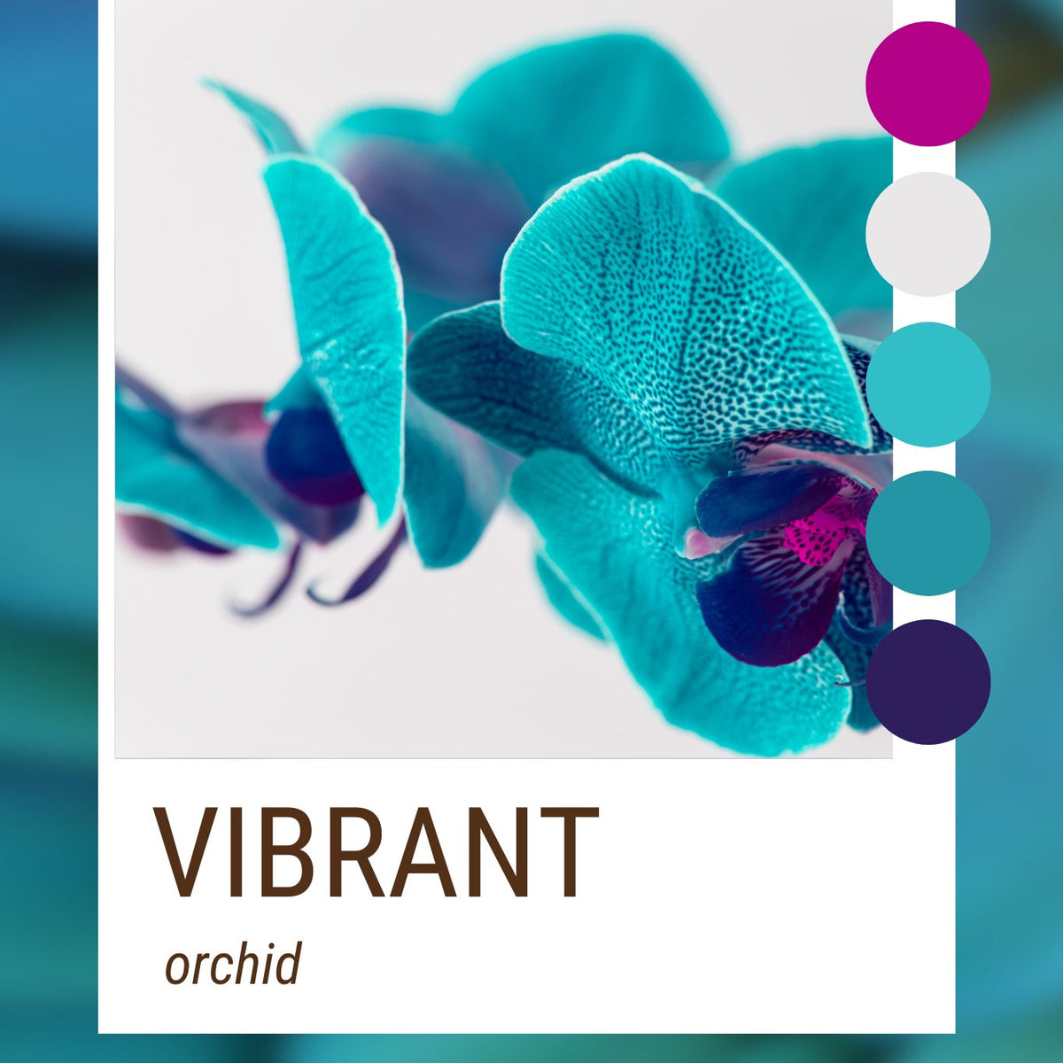 Vibrant Orchid, Mystery Color Palette Bundle – Boho Fabrics